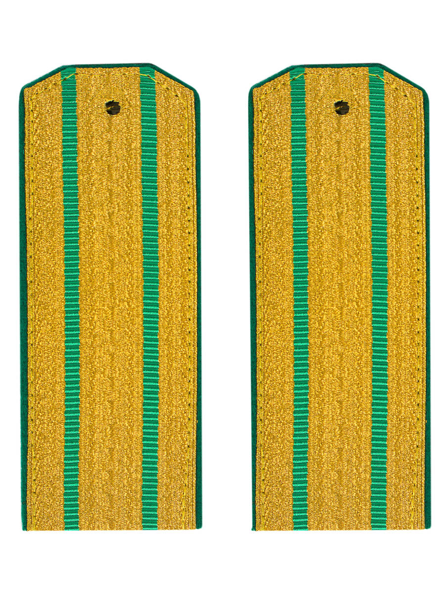 Погоны Пс Фсб парадные золотые два просвета Кляммеры в комплекте Картон 14х5,5см