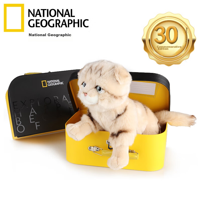 National Geographic Birthday Gift, Scottish Fold Cat Plush Toy, Lifelike Kitten Doll