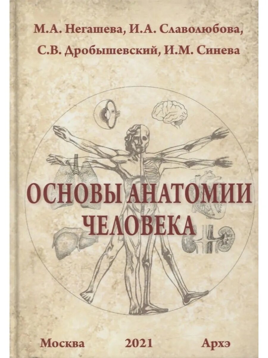 Основы анатомии человека