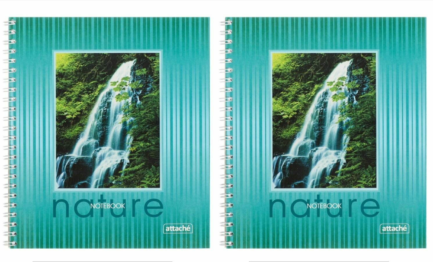 Attache Тетрадь общая "Nature" А5, 80 листов, в клетку, 2 шт