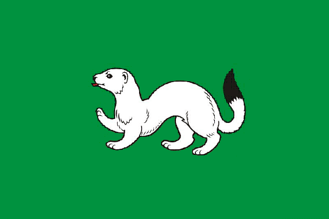 Флаг Тары 90х135 см