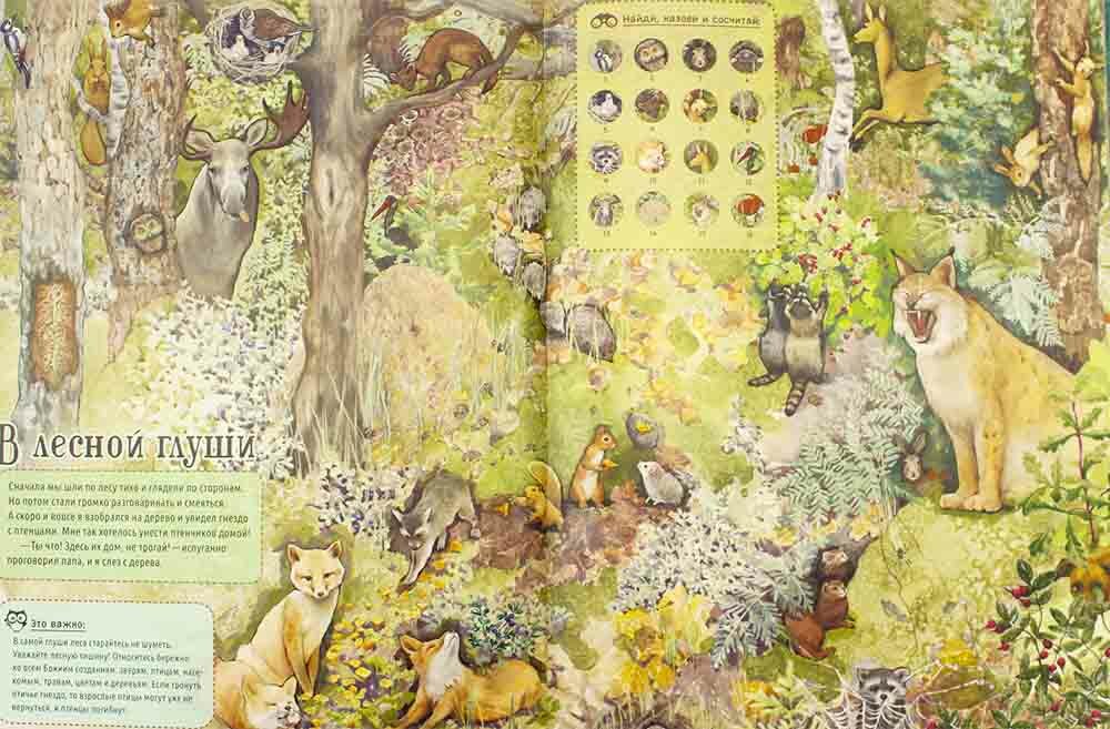 По лесным тропинкам
