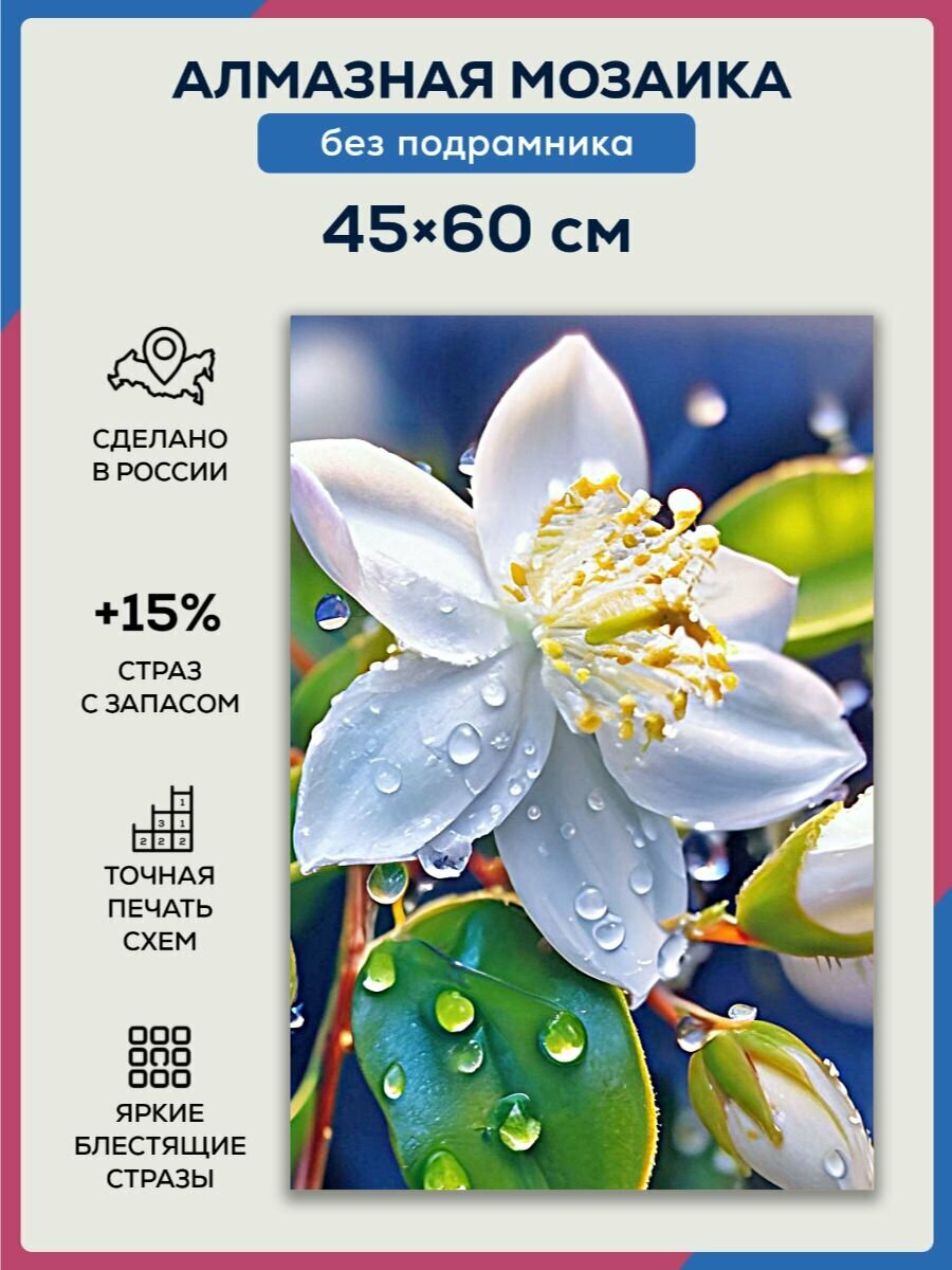 Алмазная мозаика 45x60 Жасмин без подрамника
