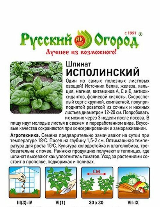 Шпинат Исполинский — фото 1