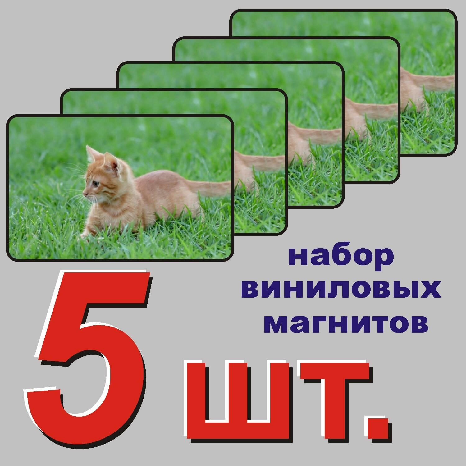 Магнит на холодильник "Котики" 5 шт.