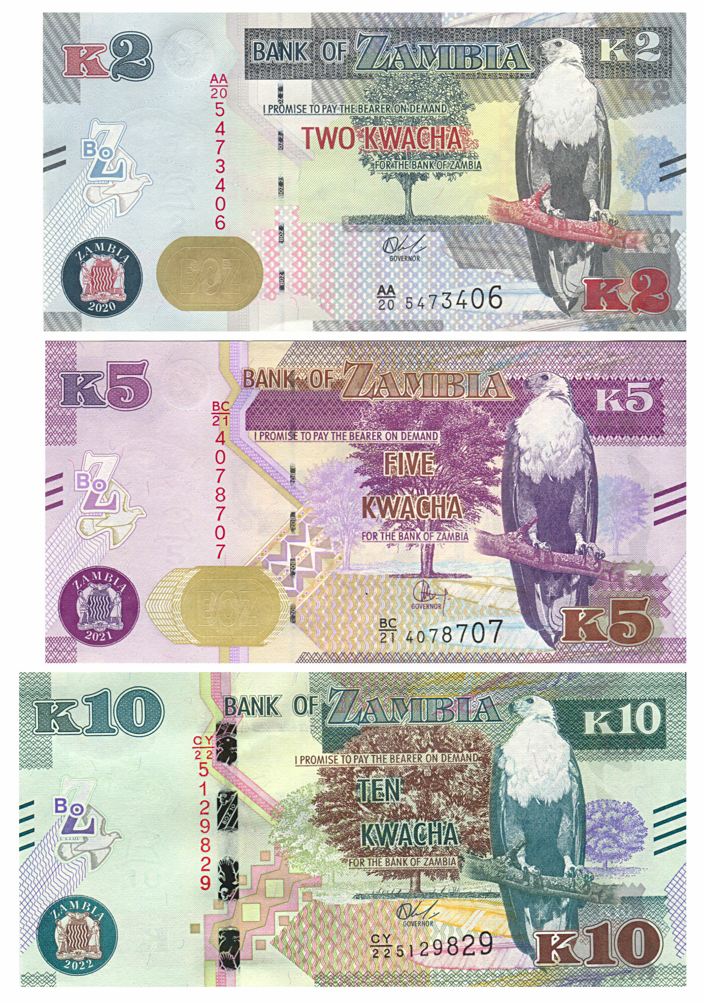 Набор банкнот Замбия 2, 5, 10 квача 2020-2022г