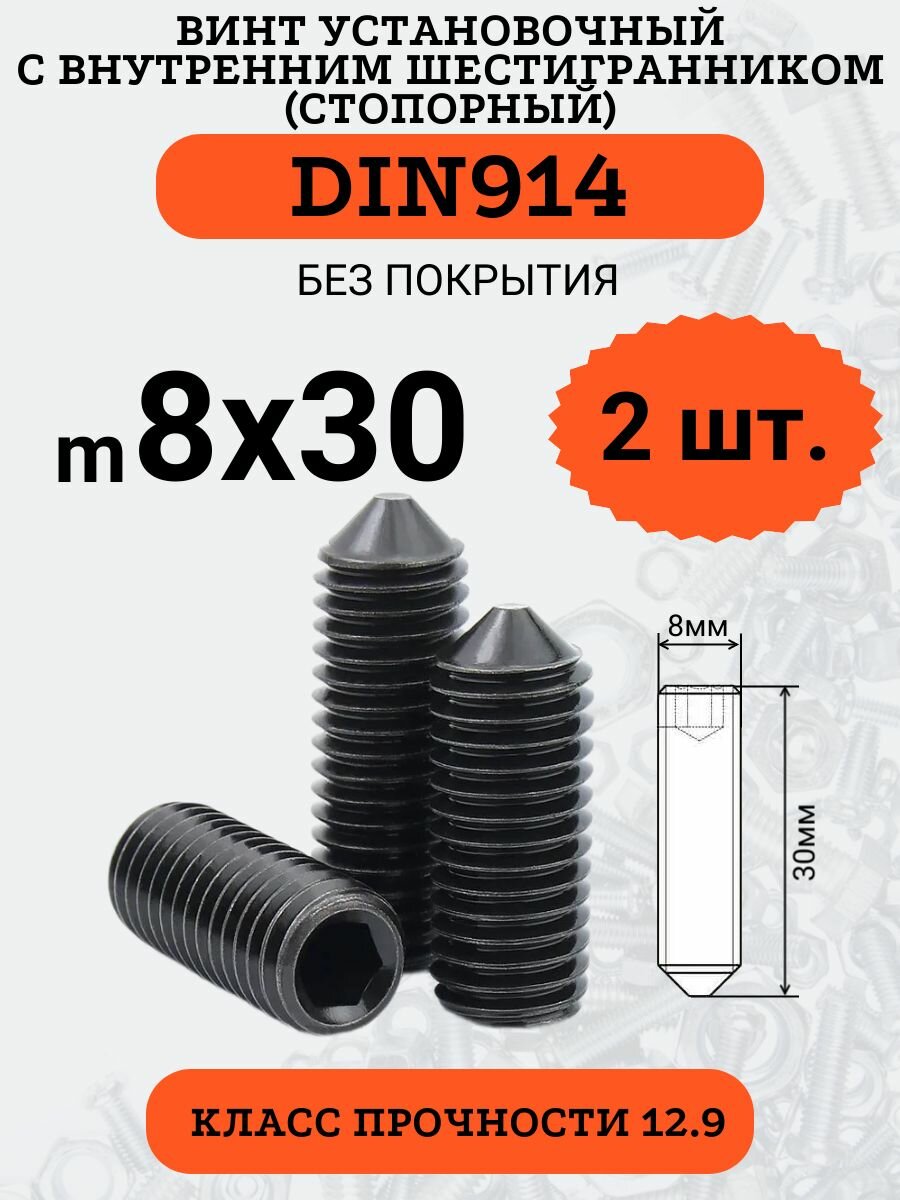 DIN914 8х30 винт установочный с внутр. шестигранником и заостренным концом, 2 шт.