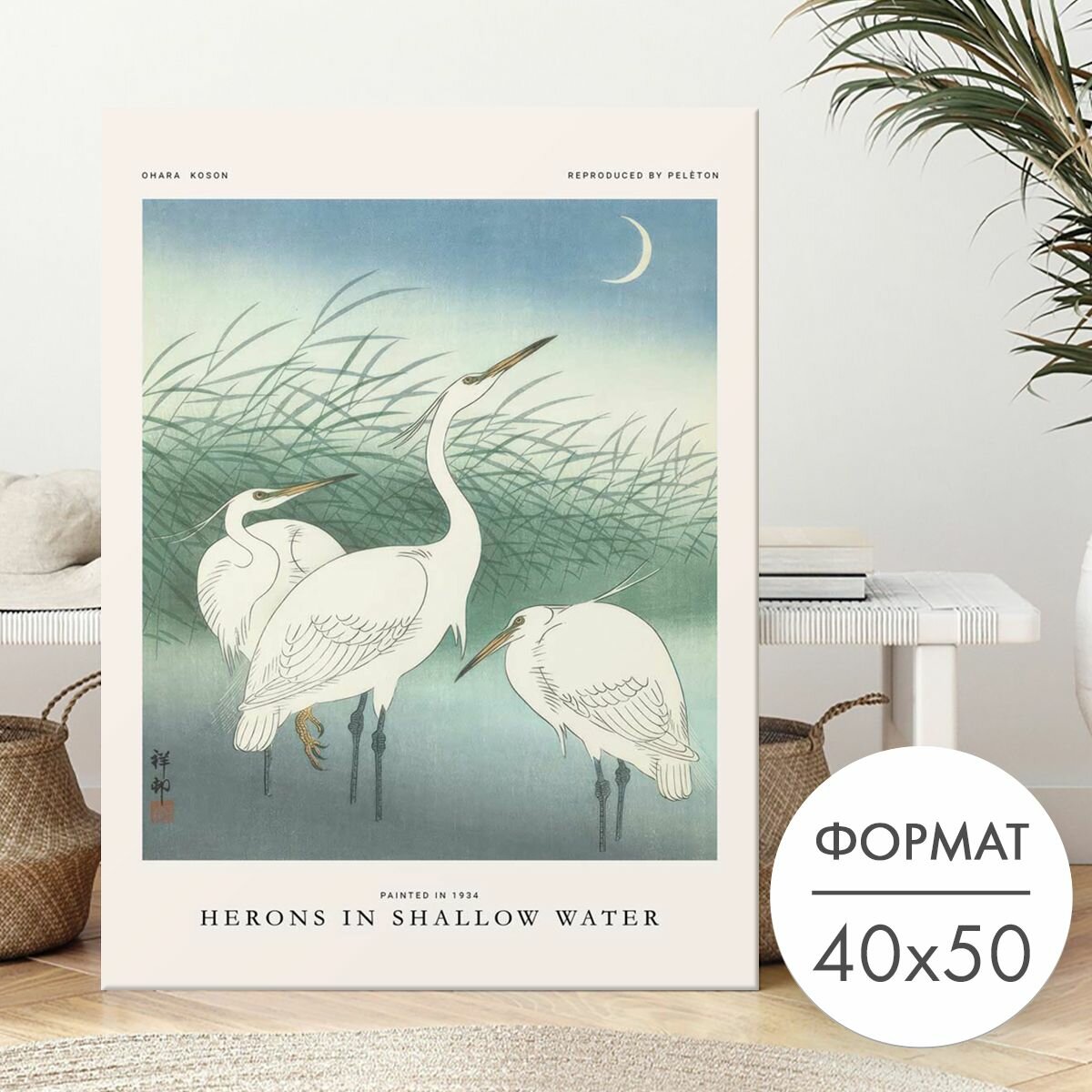 Постер "Цапли" 40х50 без рамы, плакат на стену