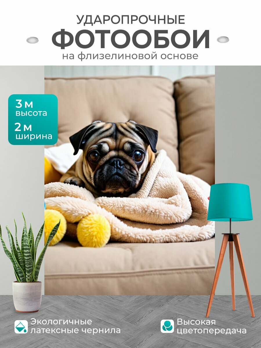 Фотообои моющиеся ударопрочные "Собака мопс, уютно устроившаяся на диване с мягким пледом, вокруг много игрушек" 200x300 см. флизелиновые на стену