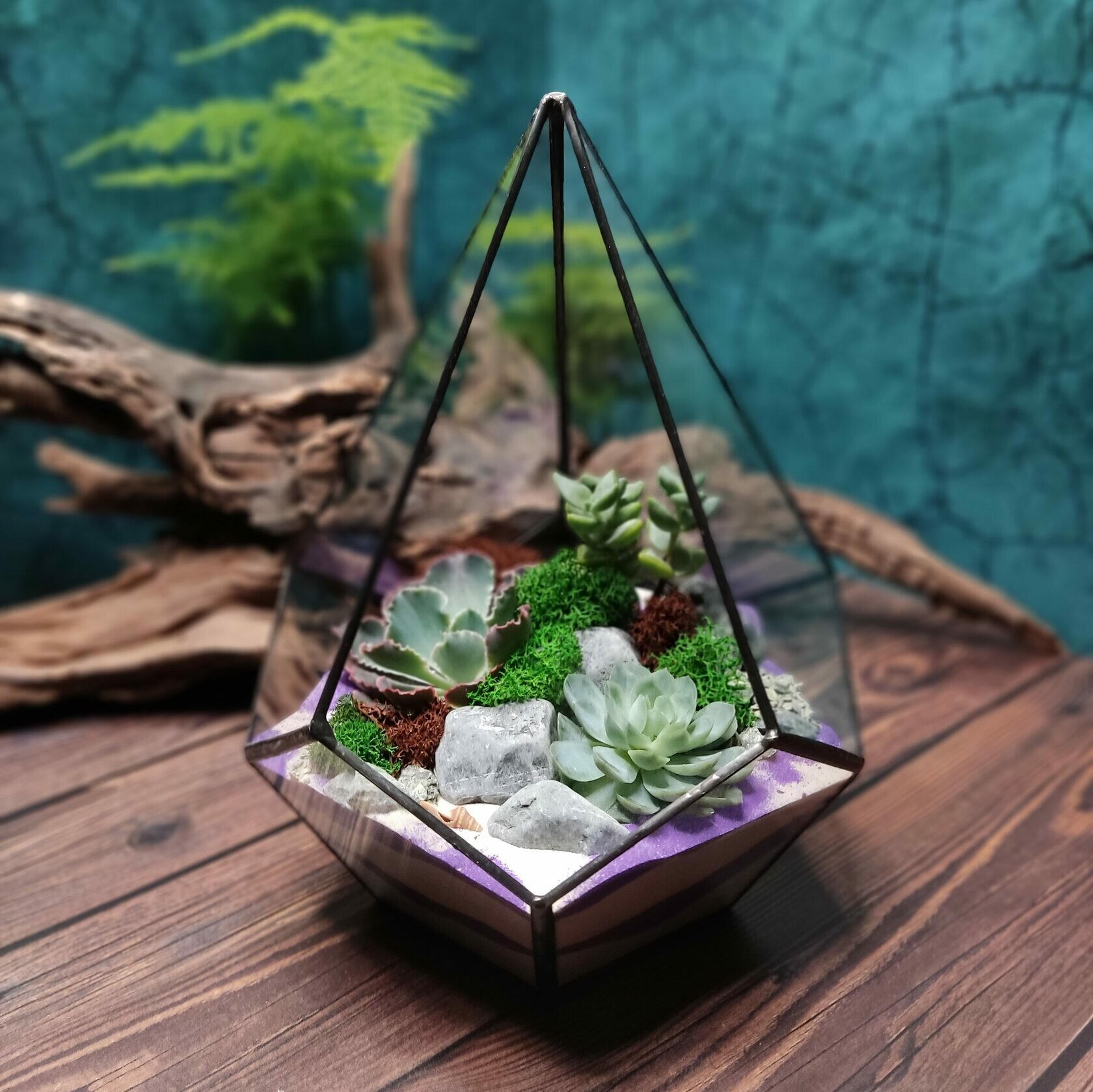 Флорариум Glass & Grass с суккулентами "Авангард"