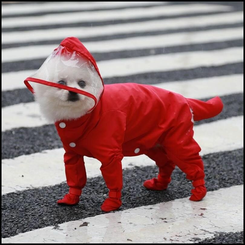 Дождевик для собак s-xxl Полностью закрытый Одежда для домашних животных с капюшоном
