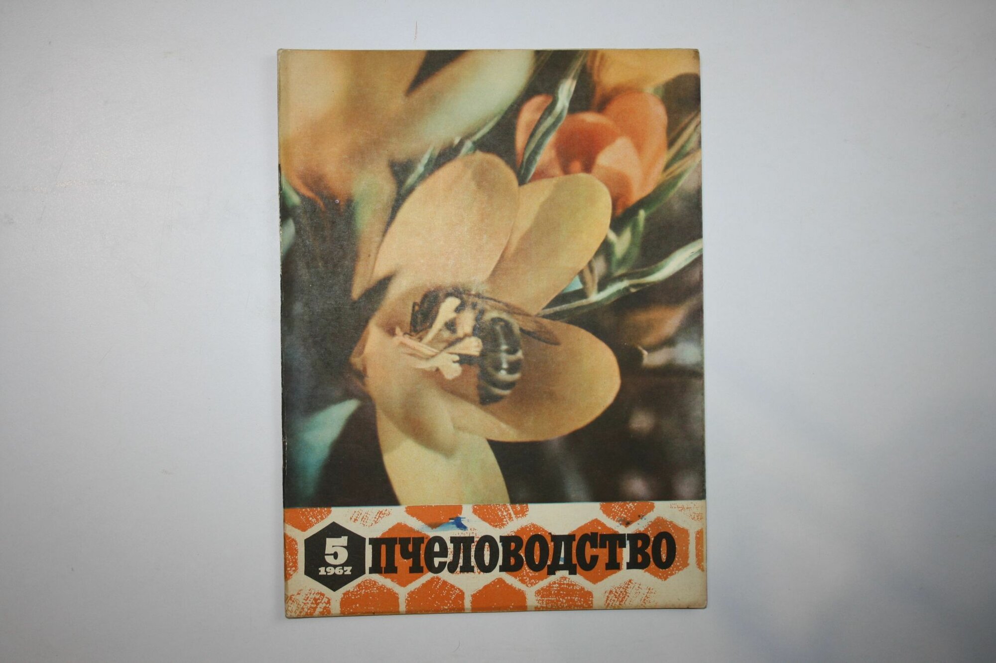 Журнал Пчеловодство № 5, 1967