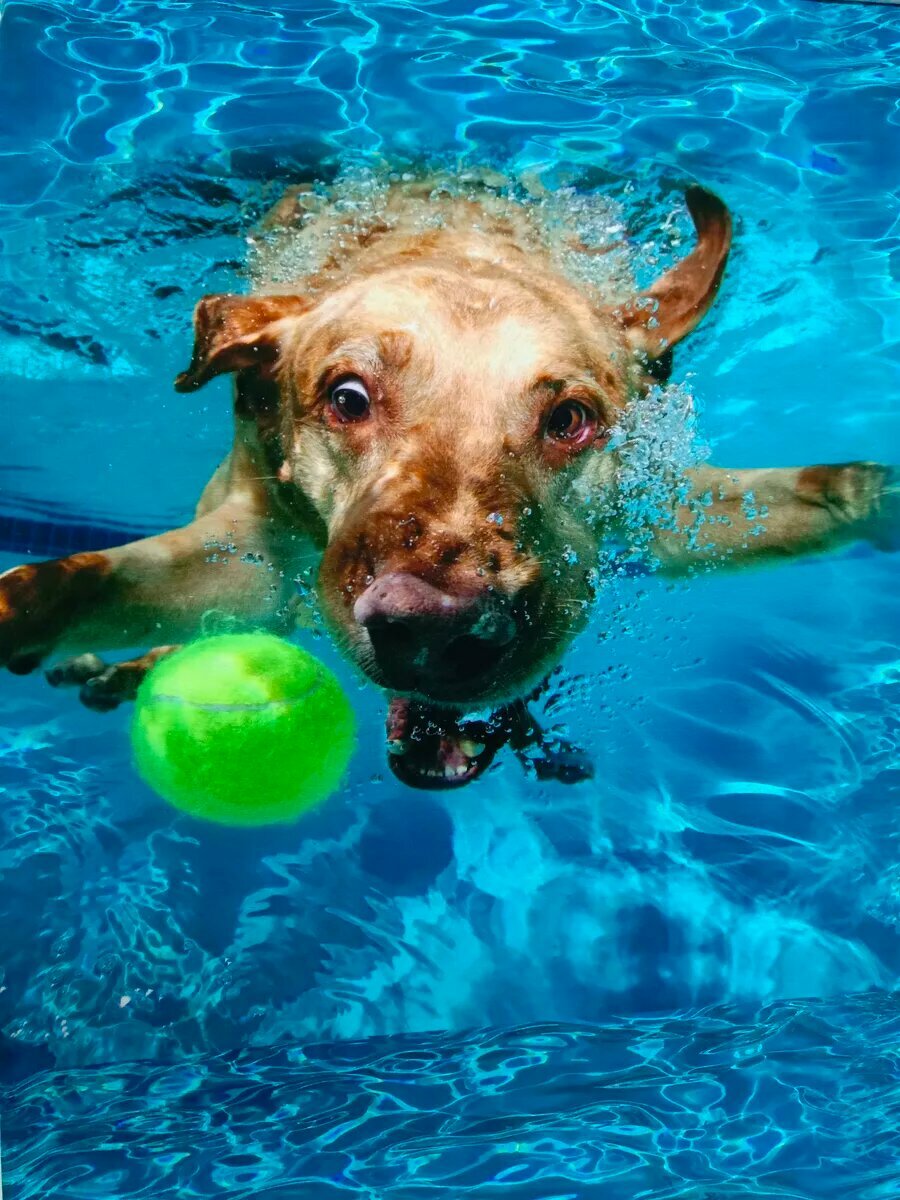 Кулирная гладь ткань для шитья купоны