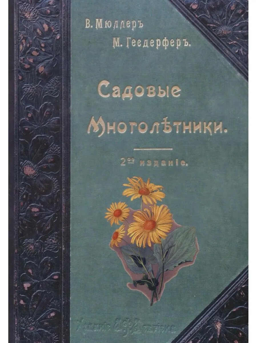Садовые многолетники. Многолетники Наиболее Красивые и Приго