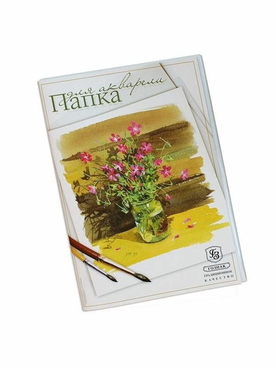 Гознак Бумага для акварели в папке, 245х370, 200 г/м2, 20 листов