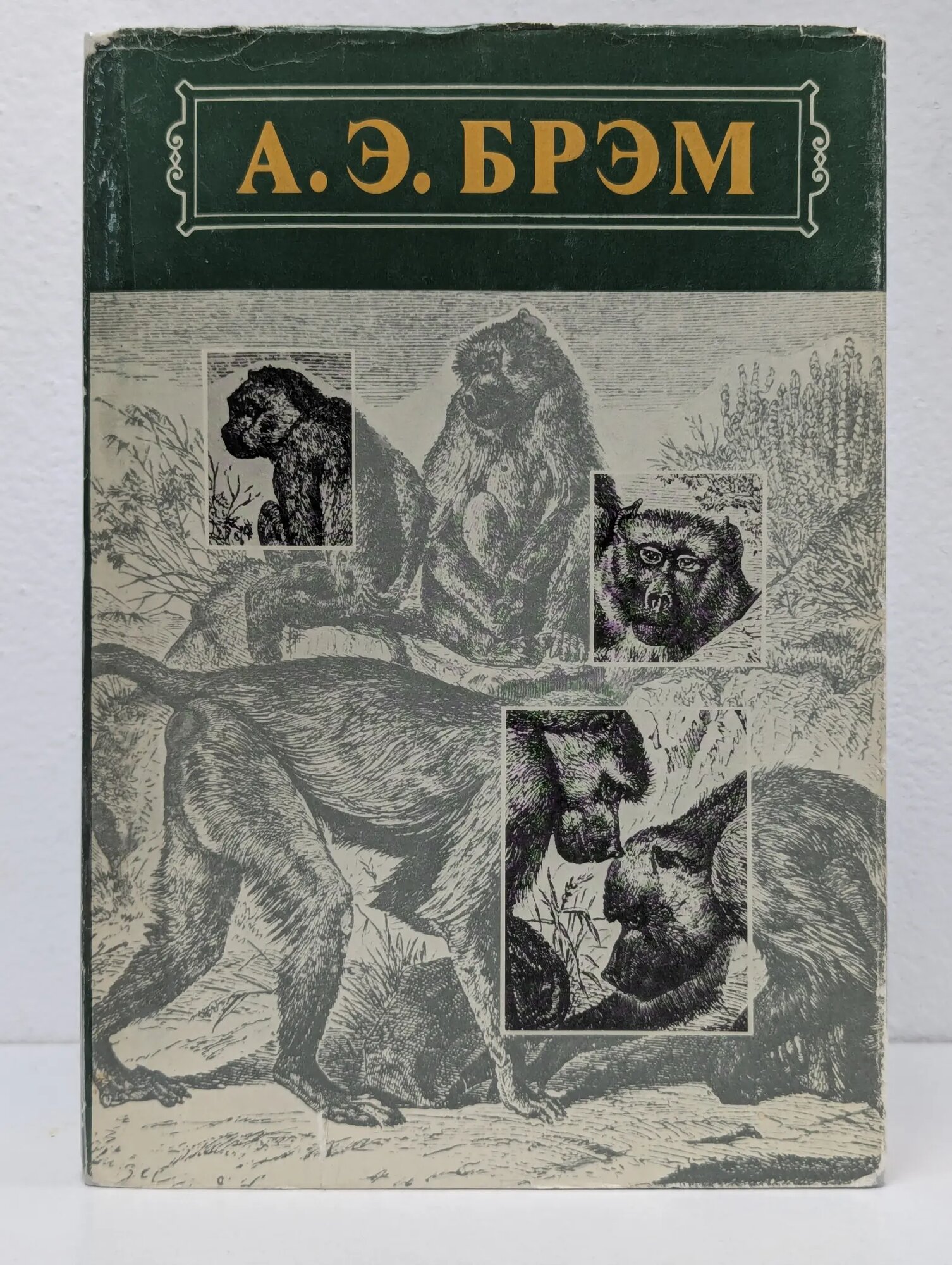 Жизнь животных. Том 1. Млекопитающие Брем Альфред Эдмунд 1992