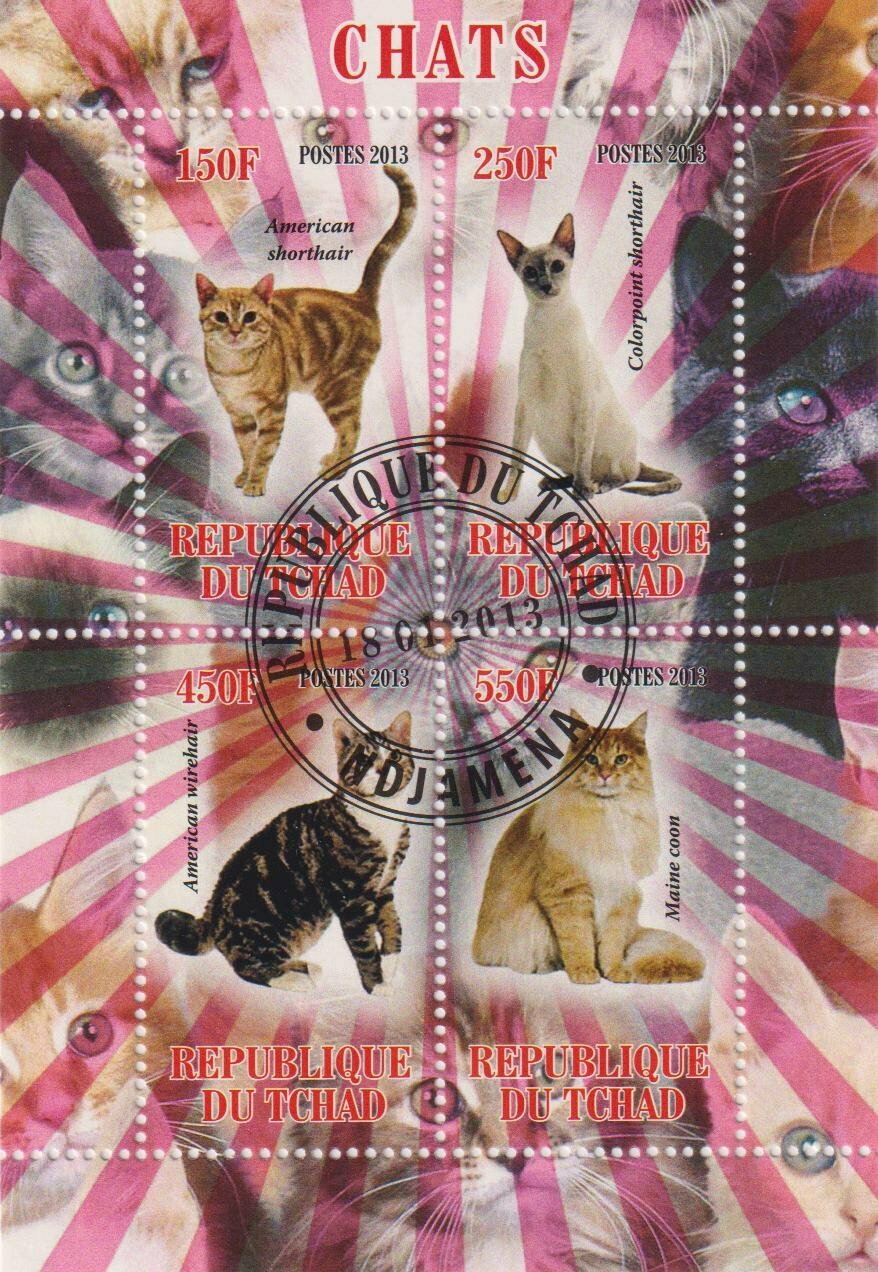 Почтовые марки Чад 2013г. "Кошки" Домашние кошки U