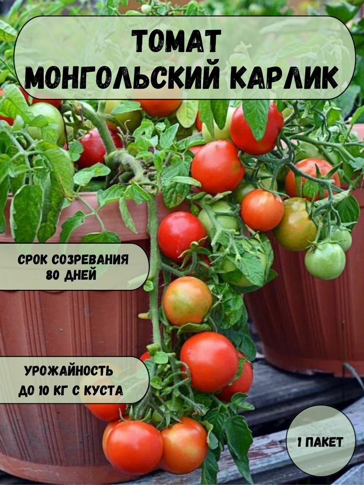 Томат Монгольский Карлик семена 10 шт