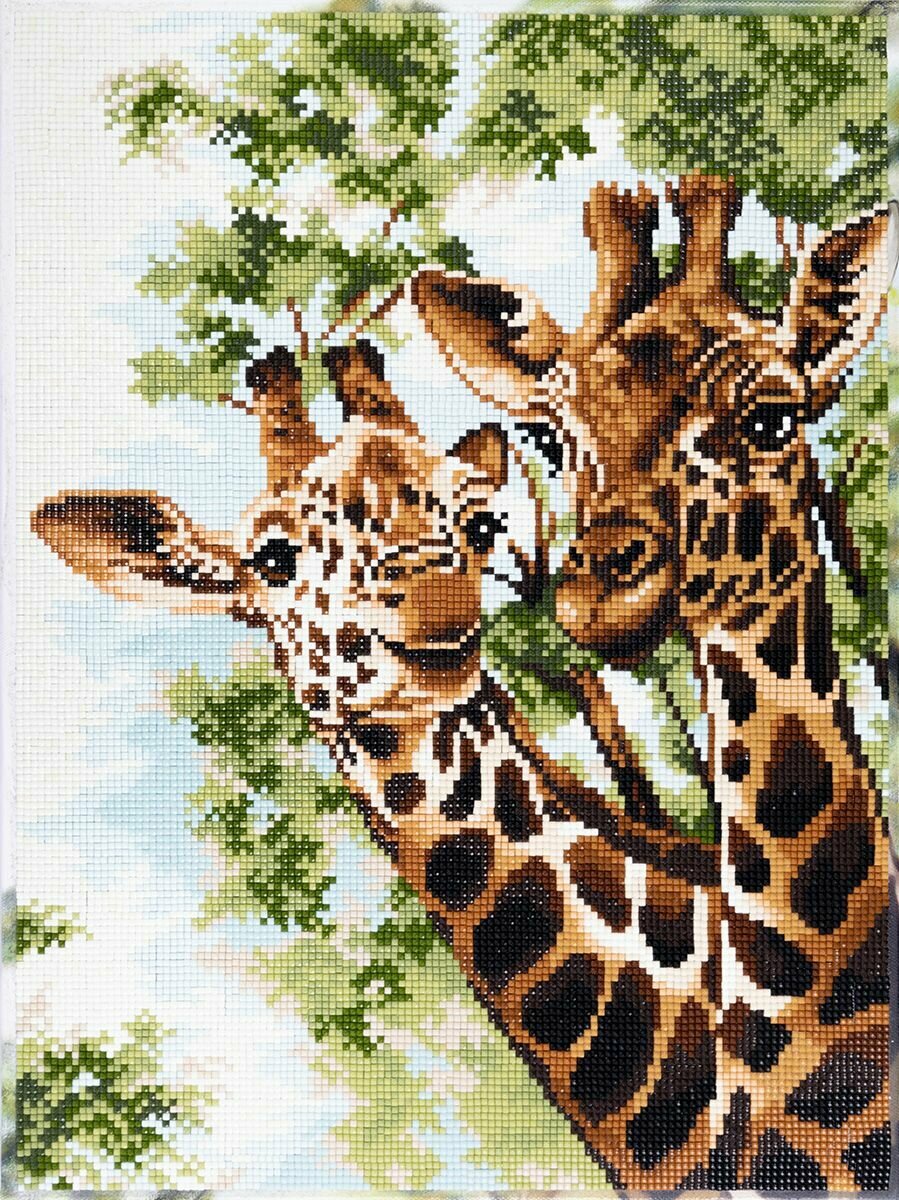 Алмазная мозаика Жирафы 30х40 см