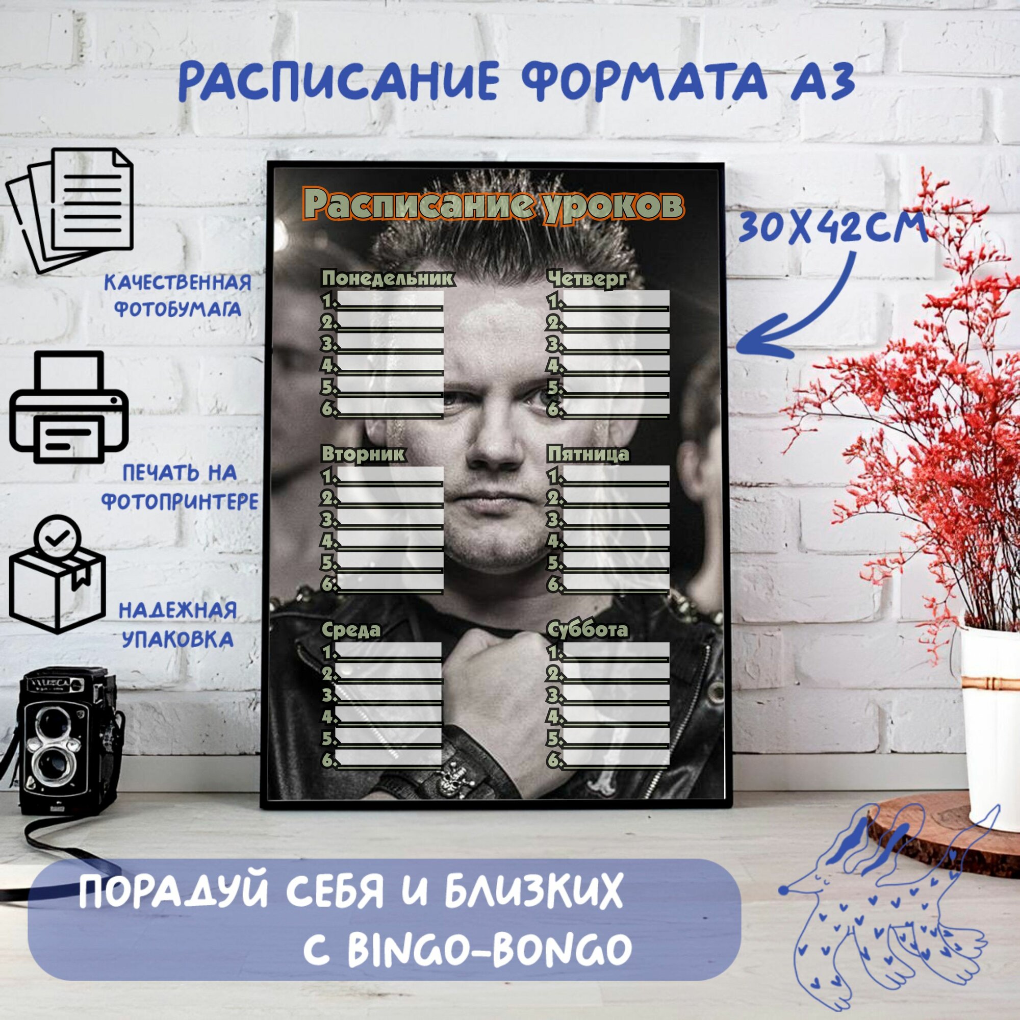Расписание уроков формата А3 "Король и Шут"