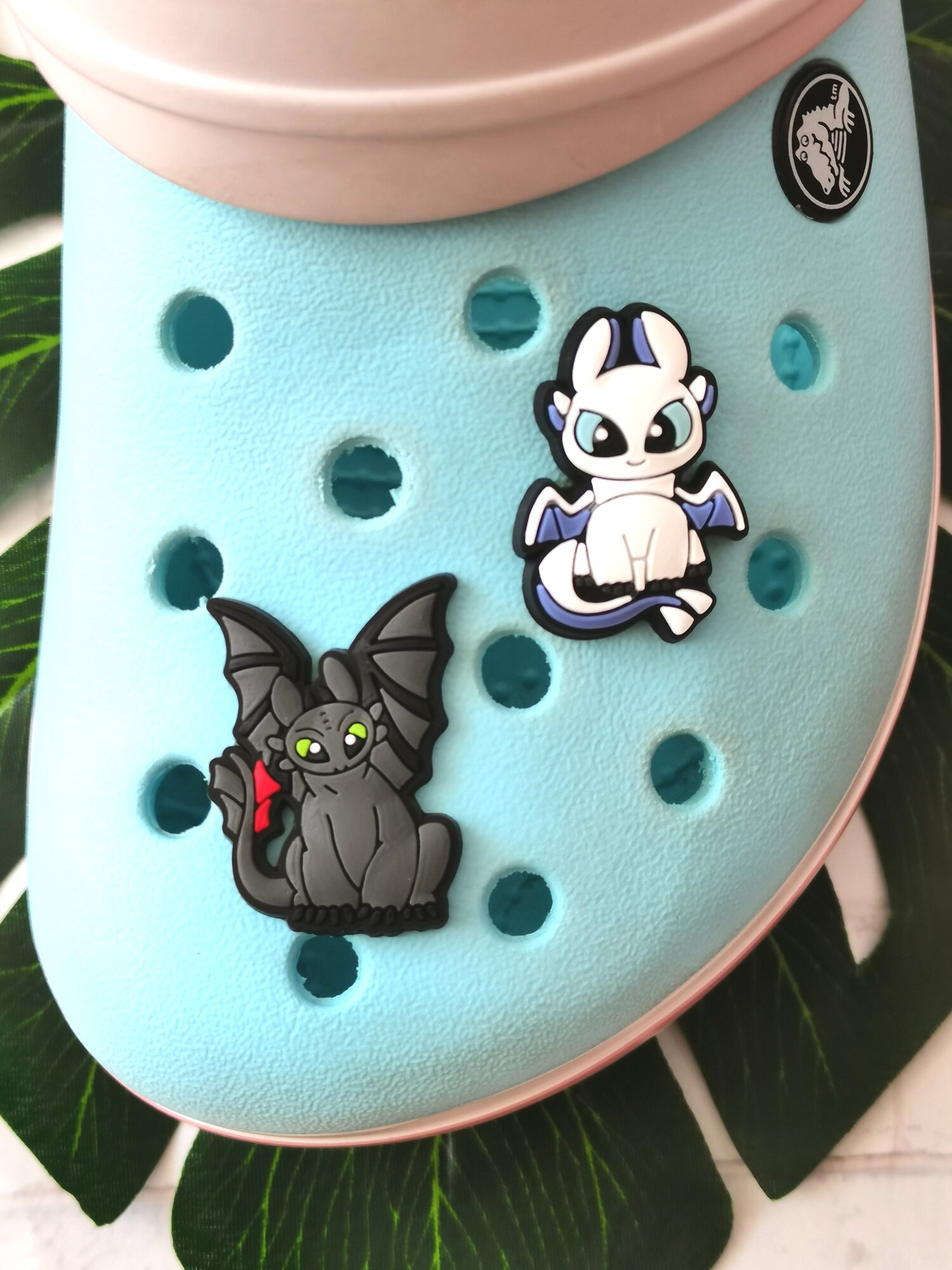 Джибитсы драконы, как приручить дракона