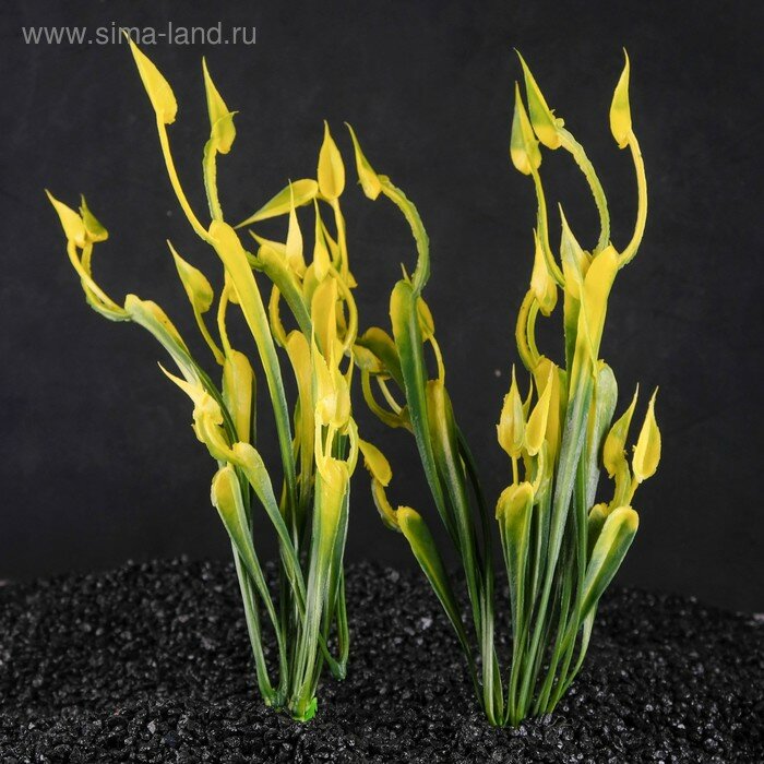 Набор растений искусственных для аквариума (2 шт), 24 см 3184328