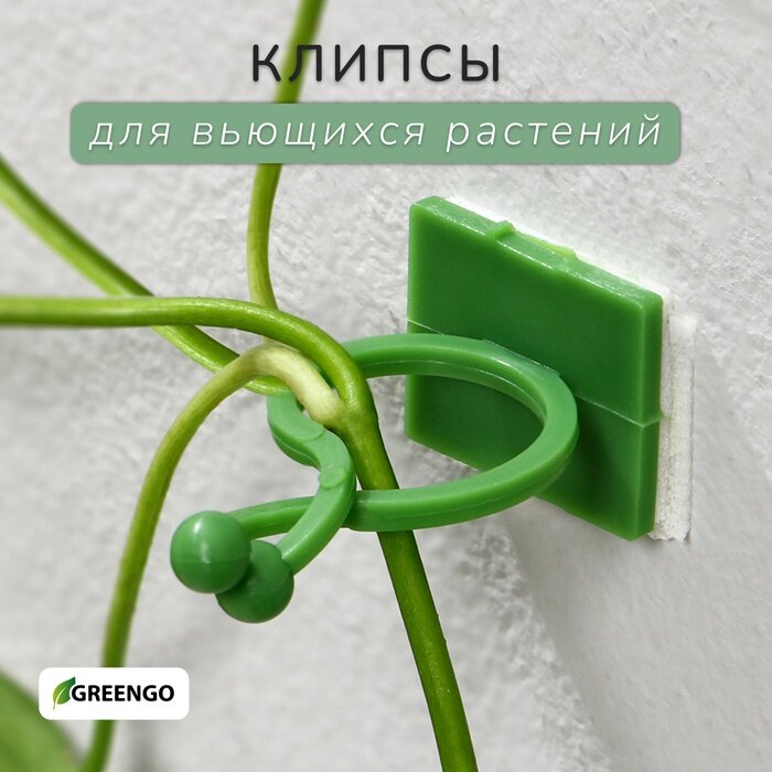 Крепления для вьющихся растений, самоклеящиеся, d=20 мм, цвет микс, Greengo