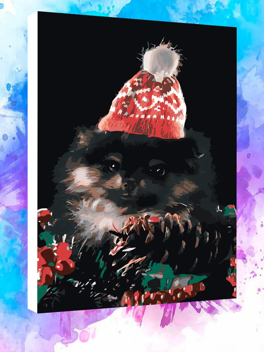 Картина по номерам Шпиц Собака Мем