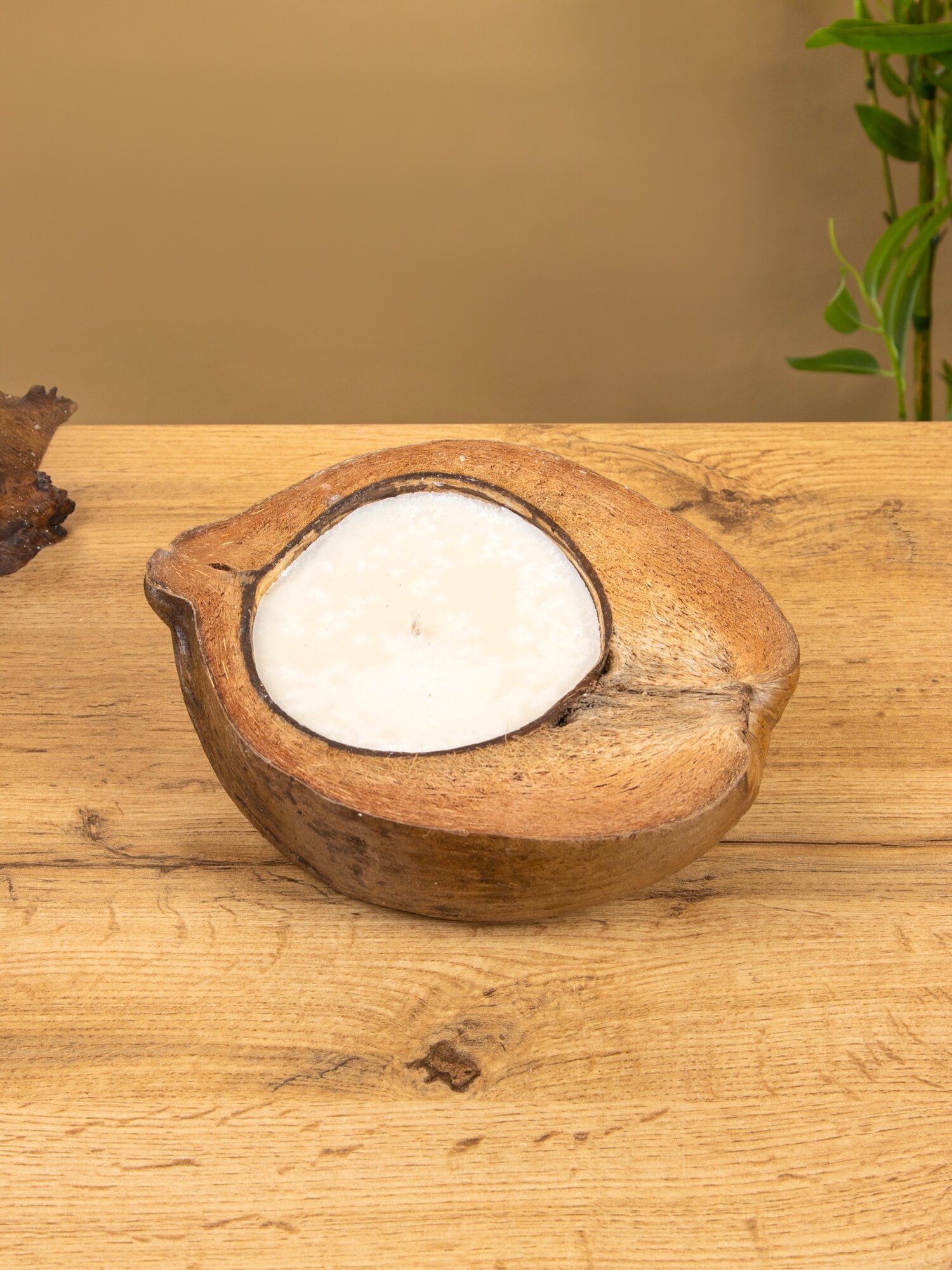 Свеча в кокосе, 18×22×7 см, коричневая