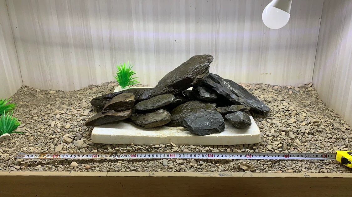 Натуральные камни для черепах, камни для ландшафтного дизайна аквариума, плоские камни местного происхождения, площадка