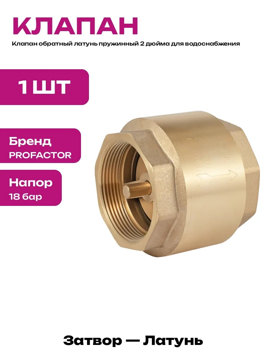 Обратный клапан 2 дюйма латунный шток для скважинного насоса