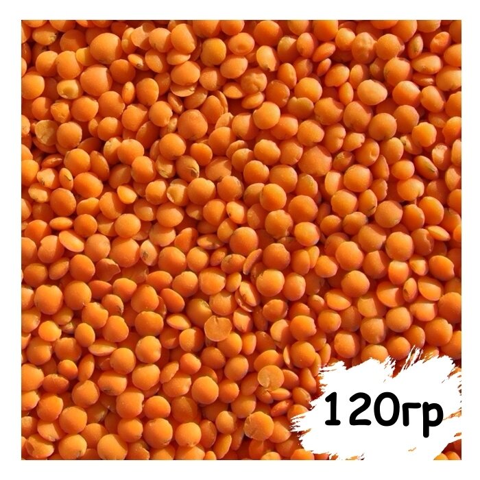 Чечевица красная Высший сорт, Вегетарианский продукт, Vegan 120 гр