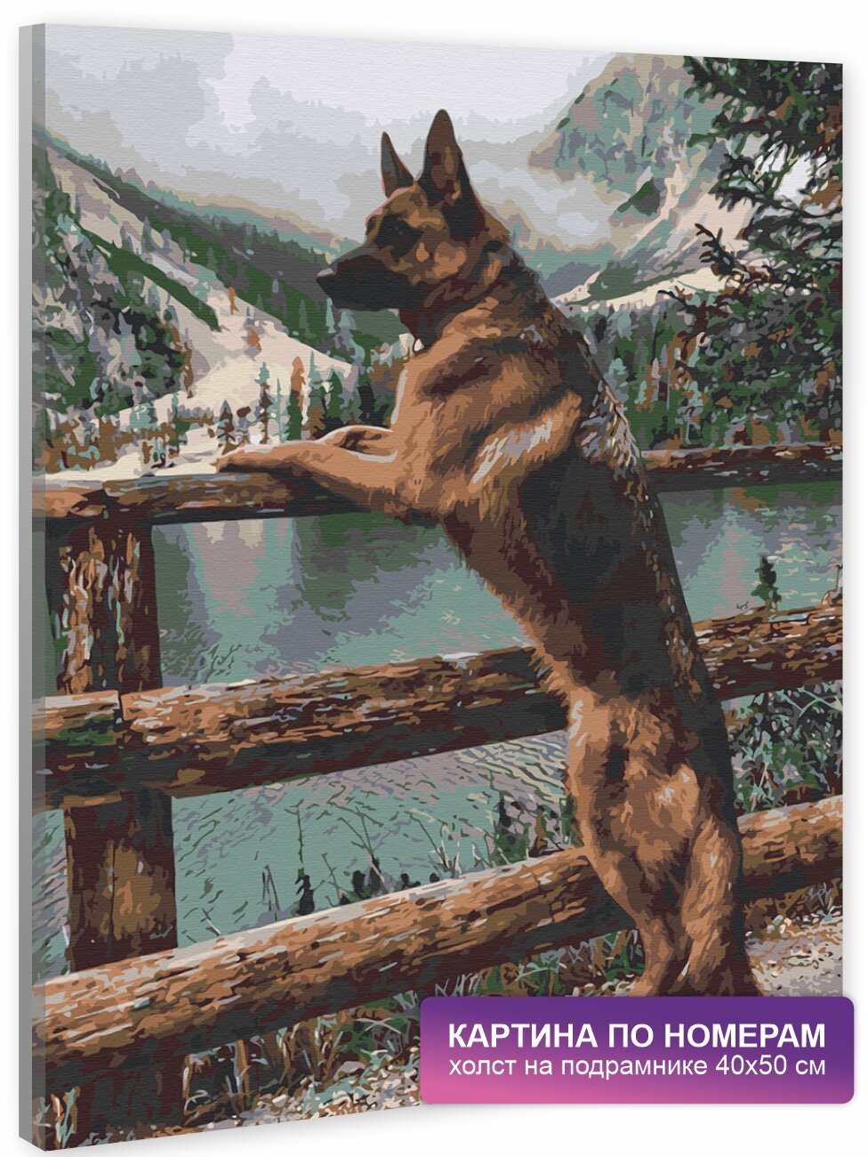 Картина по номерам на холсте с подрамником 40х50 см. Природа, животные, рыбы, птицы. Собаки, щенки. "Овчарка у озера", арт. 2854/