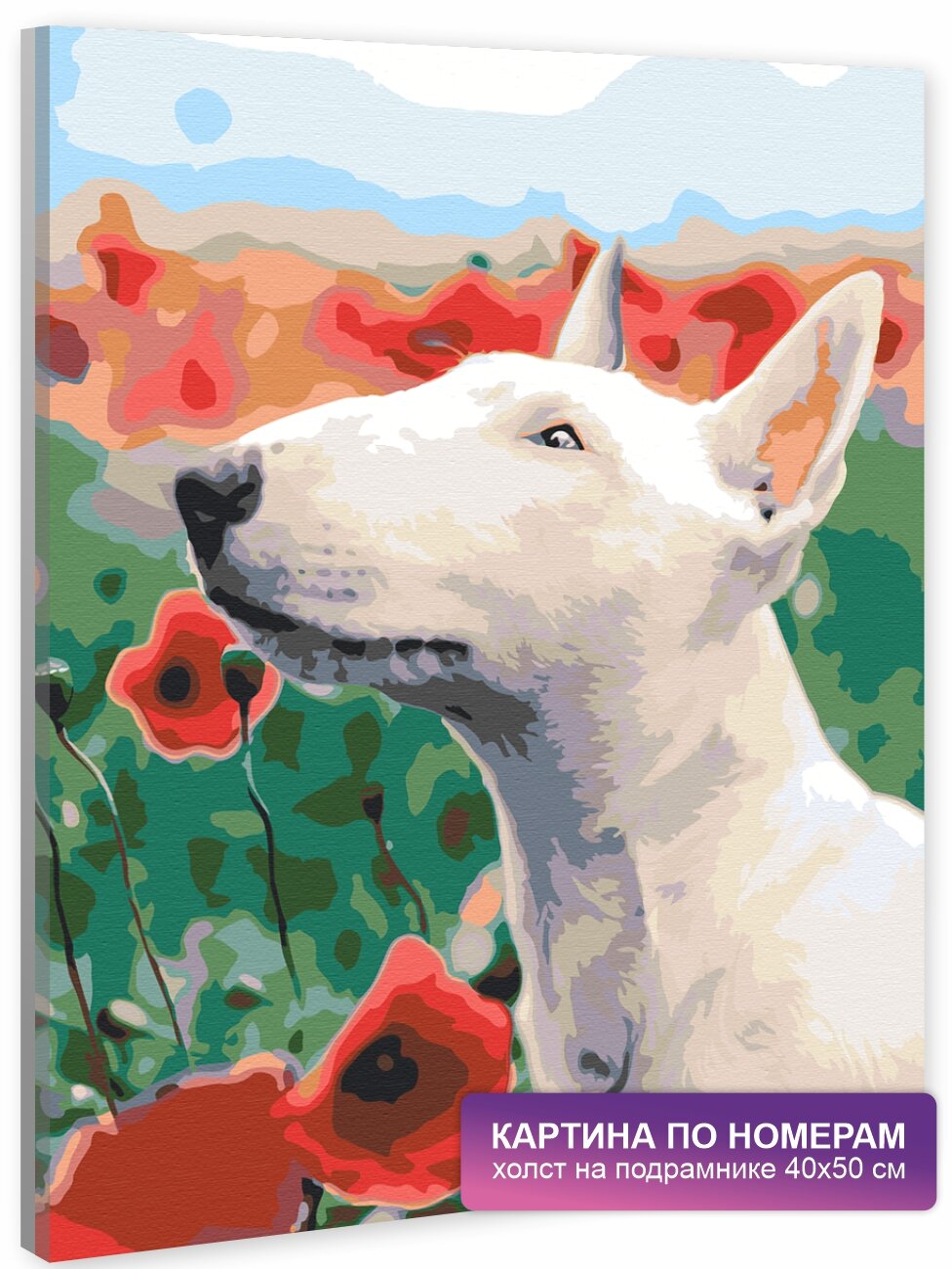 Картина по номерам на холсте с подрамником 40х50 см. Природа, животные, рыбы, птицы. Собаки, щенки. "Белый бультерьер", арт. 2884/