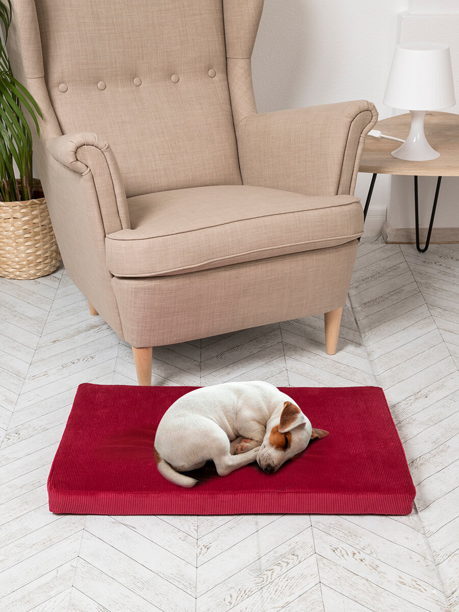 Лежанка для животных Tessolo Home, красная, вельвет, 85x55x6 см