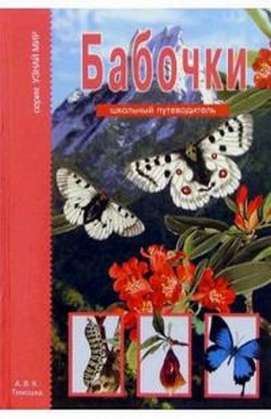 Бабочки. Узнай мир