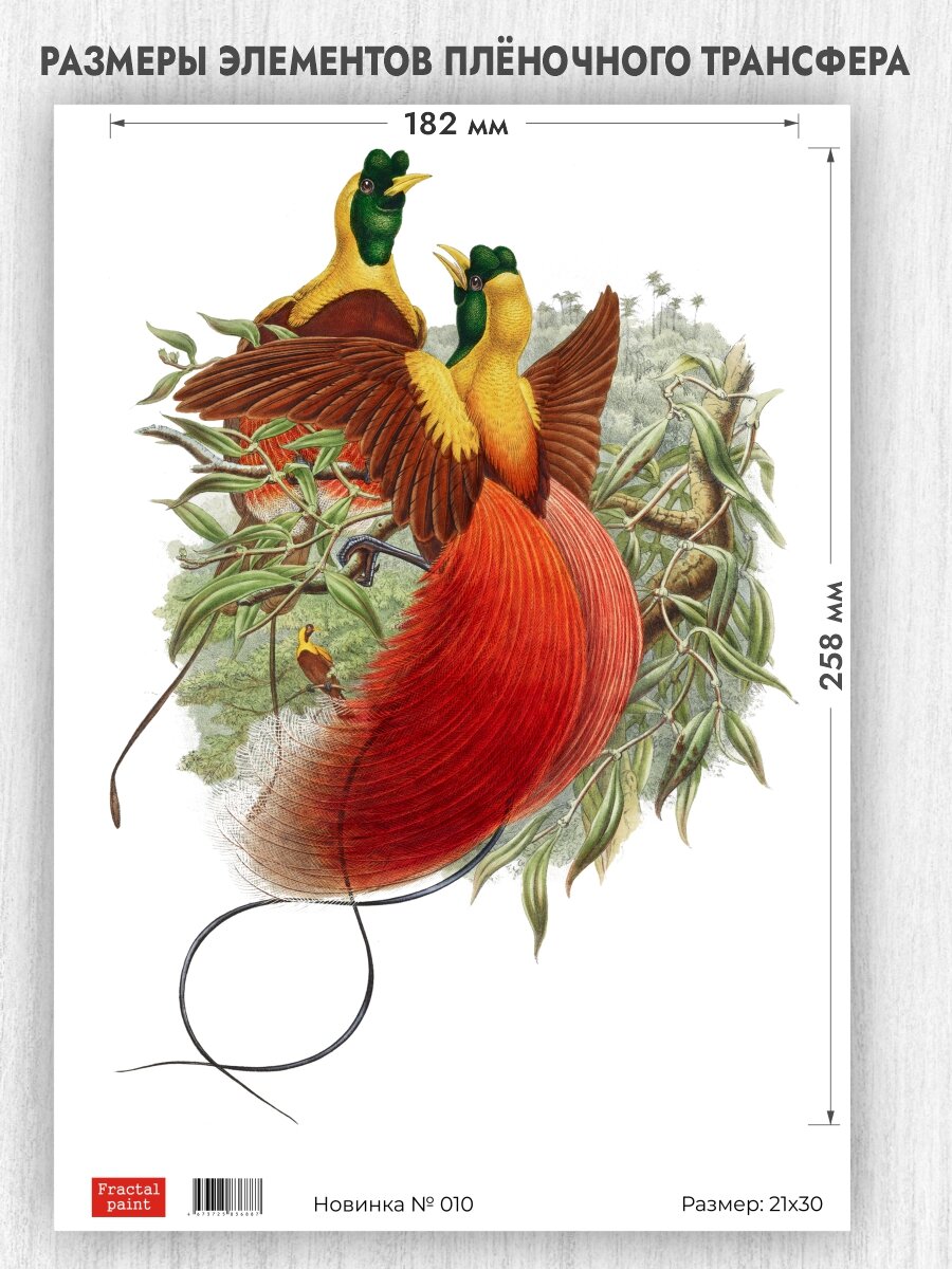 Трансфер для декупажа переводной рисунок для поверхностей новинка 010 А4