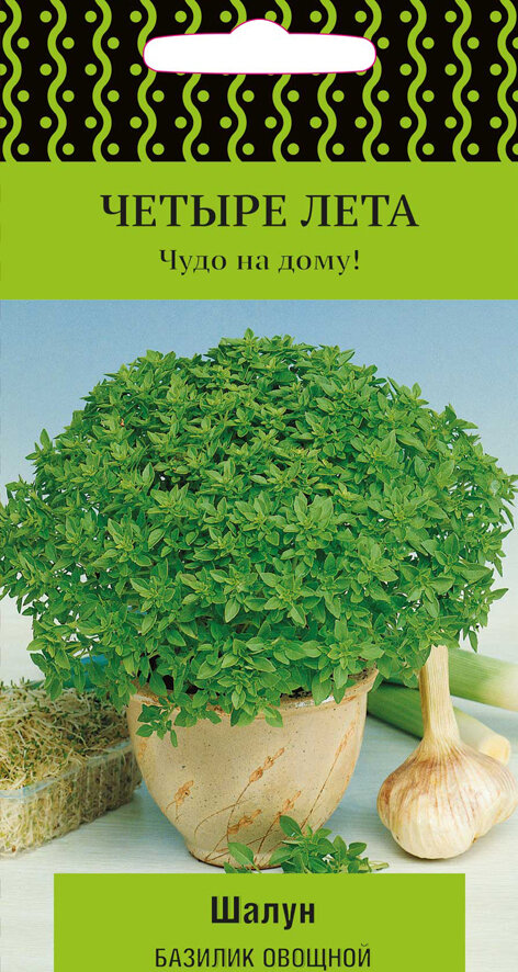 Семена базилика овощного "Шалун", 10 упаковок по 0,1 гр - кустик компактный, с большим количеством побегов с мелкими, зелеными и очень ароматными листьями.