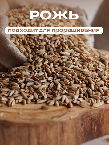 Рожь для проращивания, натуральная, необработанная 1.5 л