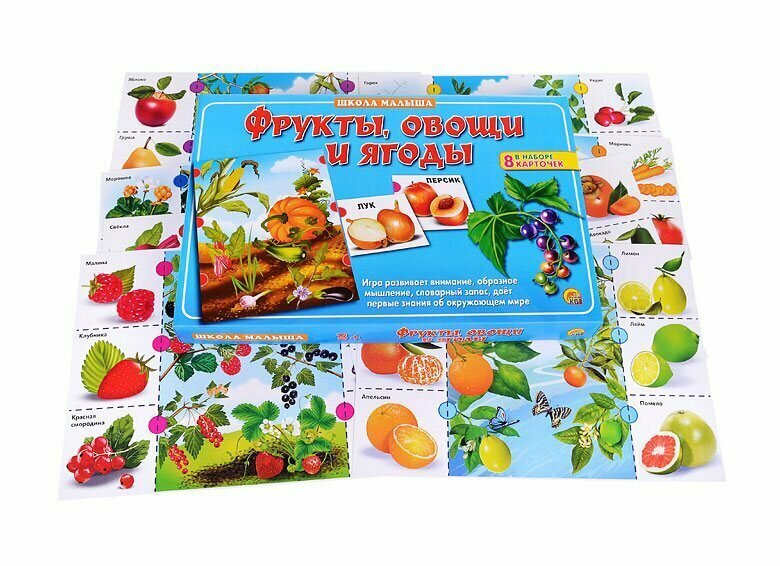 Развивающее пособие Рыжий кот Школа малыша. Фрукты, овощи и ягоды (8132-ИН)