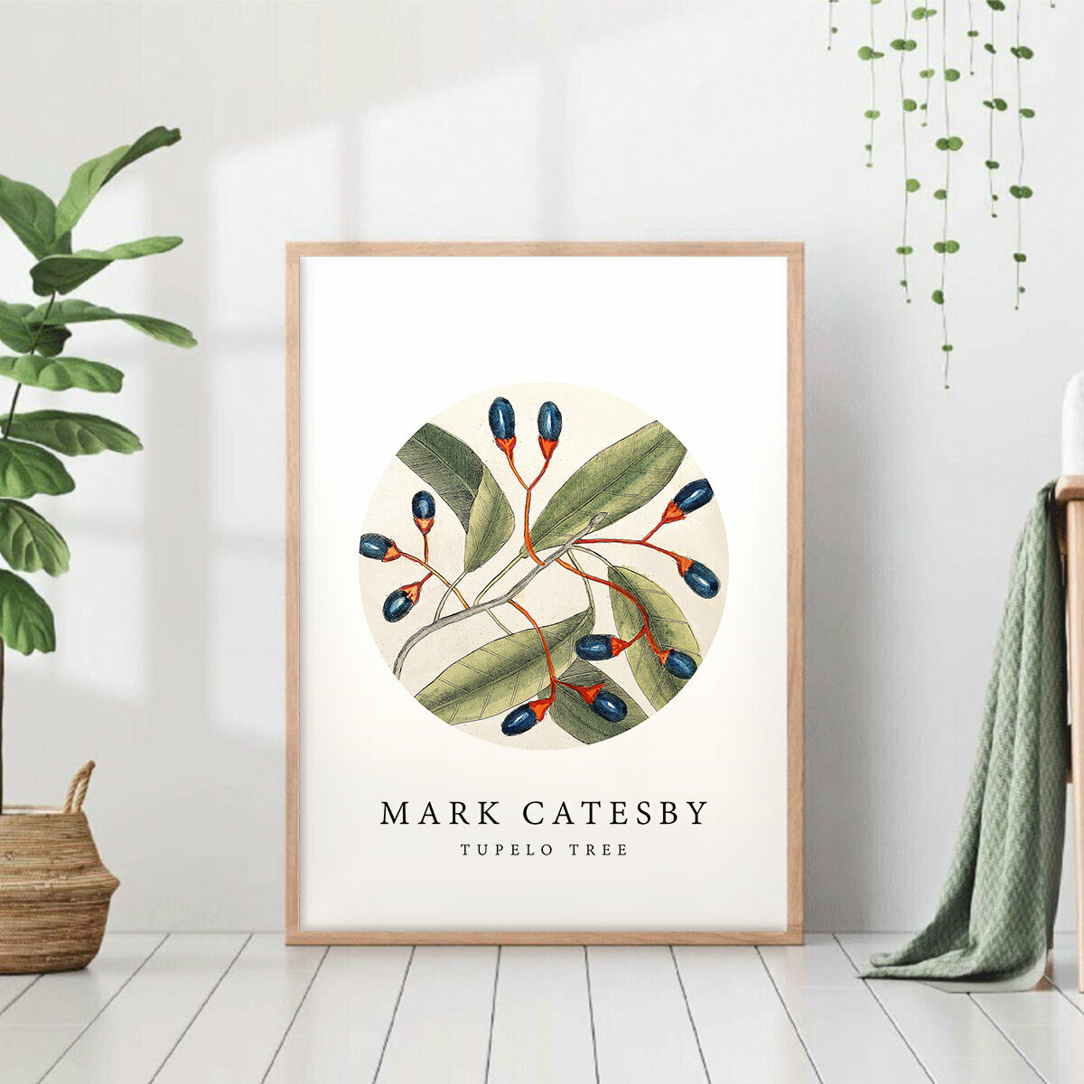 Постер "Ботаническая иллюстрация репродукция" 50x70 без рамки на стену для интерьера