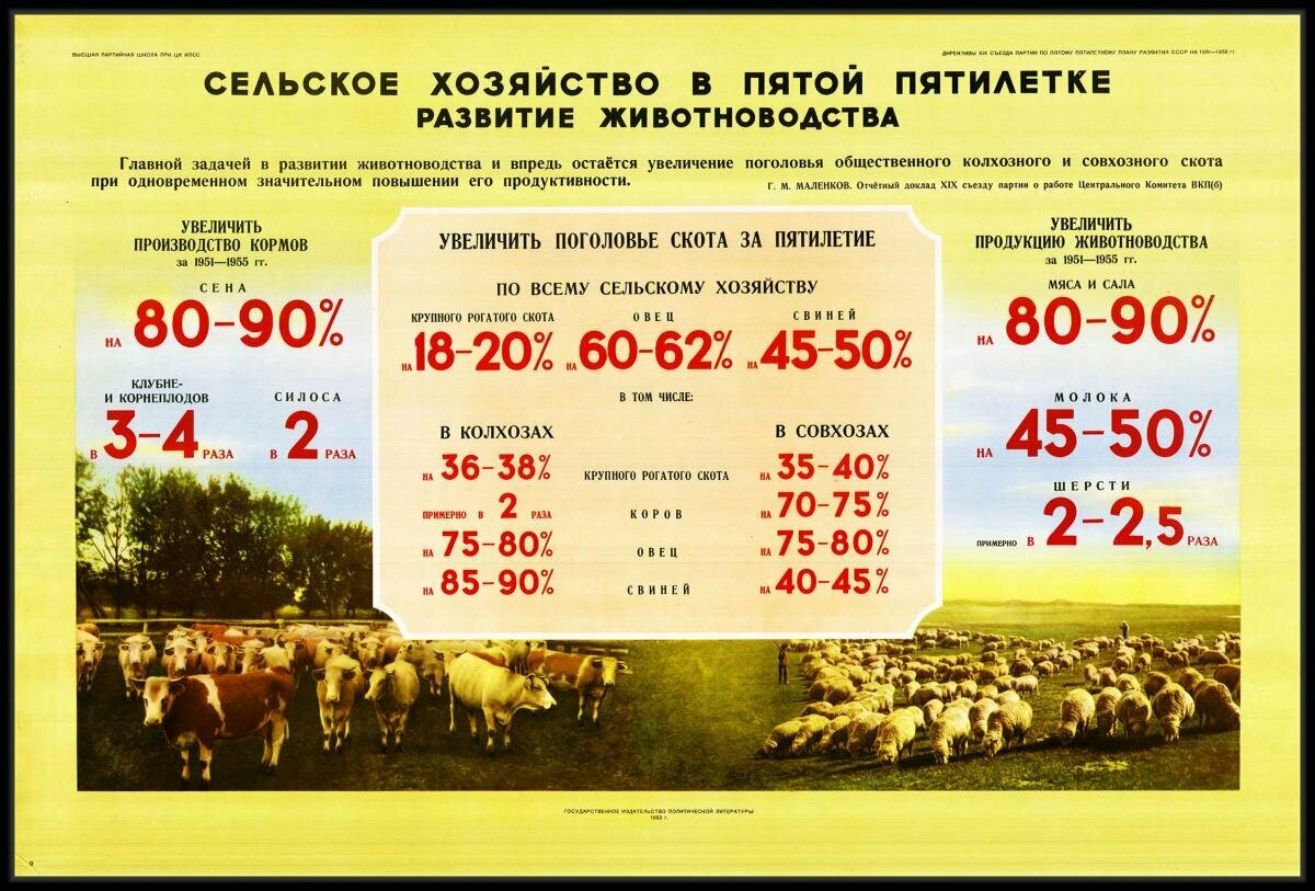 Плакат СССР животноводство; Антиквариат 1953 г; Декор настенный винтажный 88/55 см.