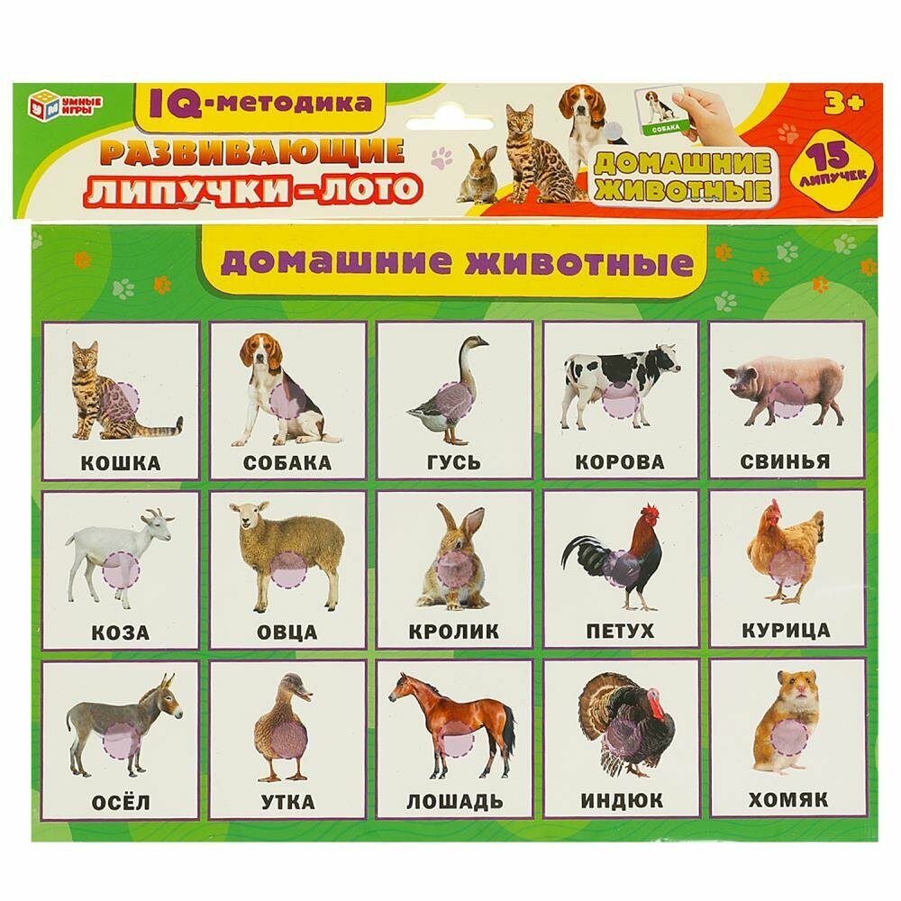 Развивающие липучки-лото "Домашние животные", 15 липучек, 30х26 см. УМка 4660254430495