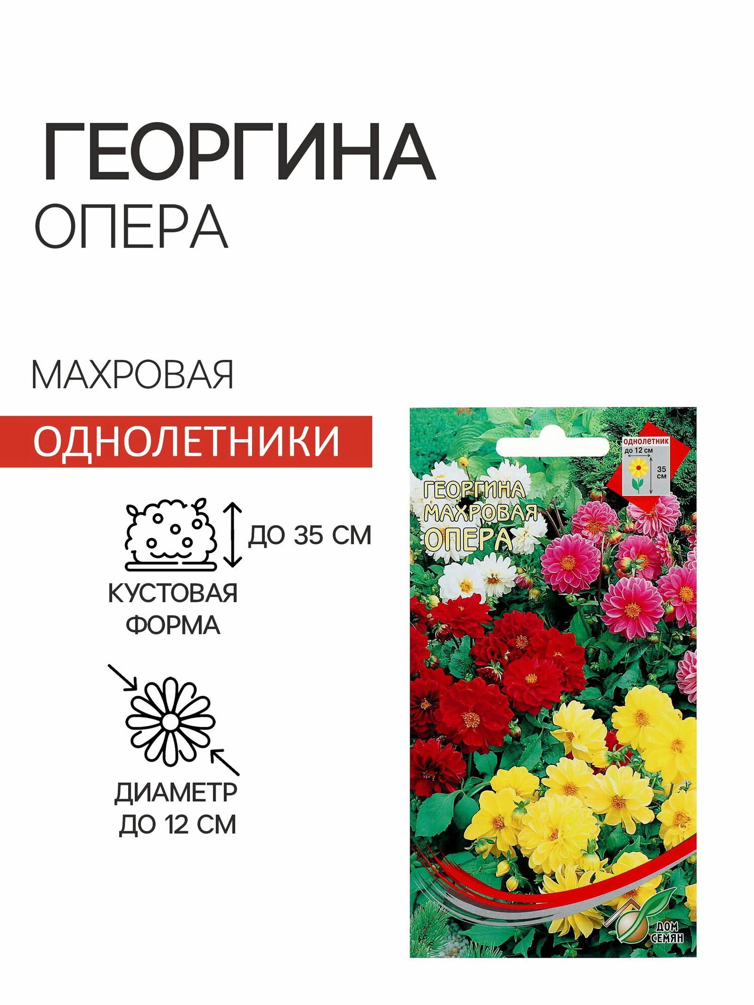 Семена цветов Георгина махровая "Опера" 15 шт, назначение: для балкона, веранды