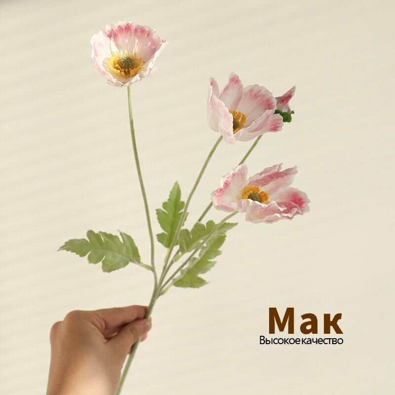 Стабилизированные цветы, Мак, 65 см, 5 стеблей