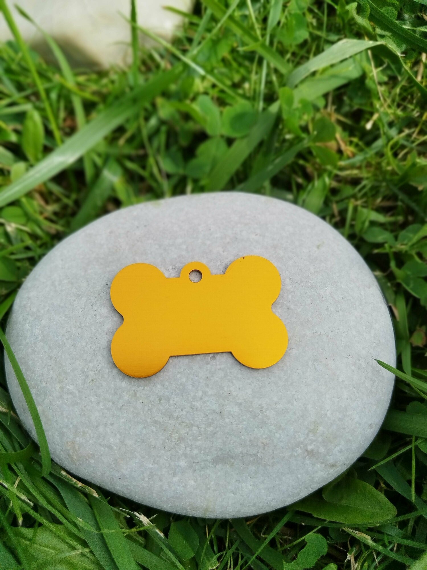 Адресник для кошек и собак с гравировкой