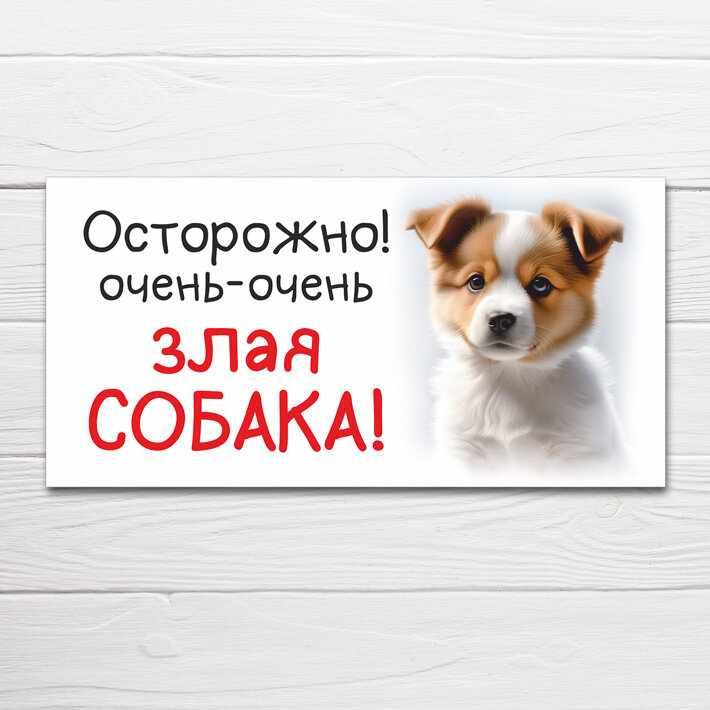 Табличка "Осторожно, очень-очень злая собака", 30х15 см, ПВХ