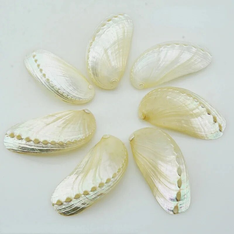 6-8 см/7 шт. белая полированная Морская раковина естественный раковина Ландшафтный Аквариум Украшение «сделай сам» ювелирные изделия морские уши осла