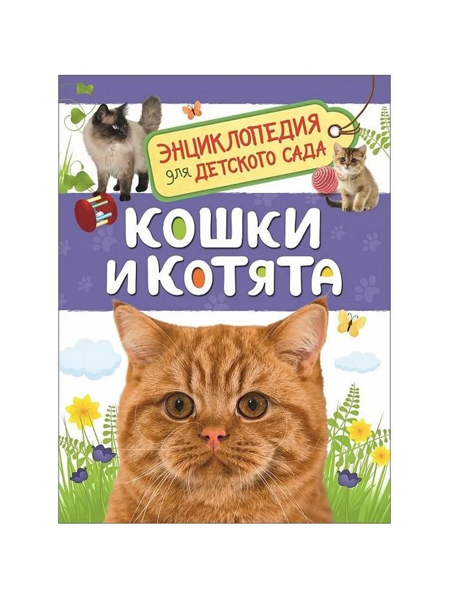 Кошки и котята. Энциклопедия для детского сада