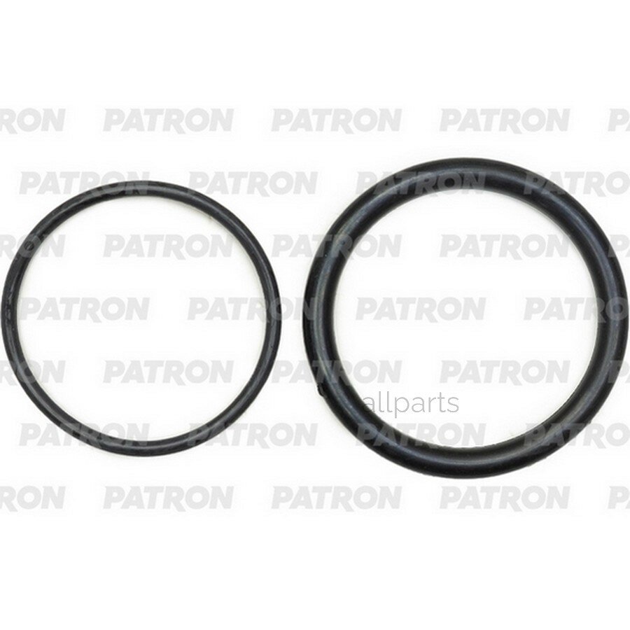 PATRON PG7-0006 Комплект уплотнительных колец дроссельной заслонки (2 прокл) RENAULT: 1.4/1.6i 16V (K4J/K4M)